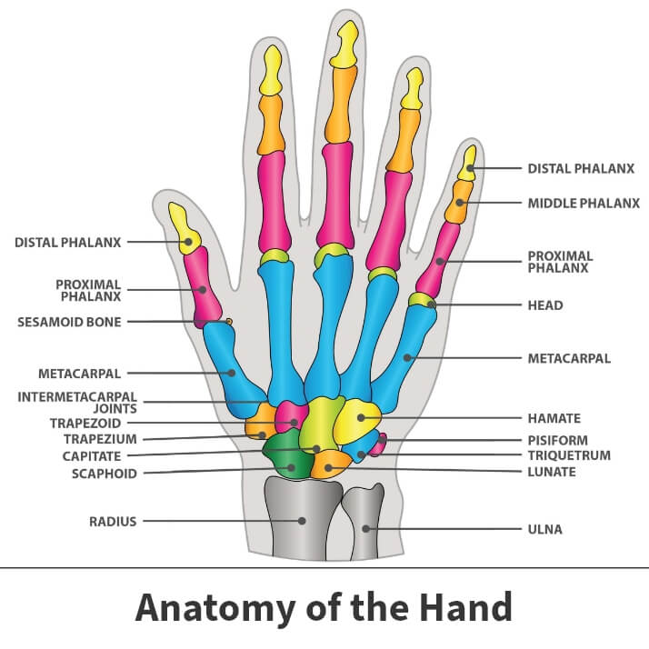 Basal Joint Surgery Florida Orthopaedic Institute