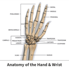 Wrist Arthroscopy | Florida Orthopaedic Institute